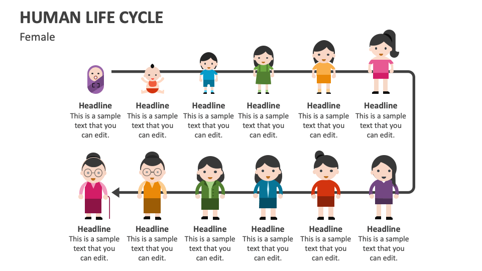 Human Life Cycle Powerpoint Presentation And Google Slides Human Life Cycle Powerpoint Presentation And Google Slides