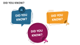 Did You Know? PowerPoint and Google Slides Template - PPT Slides