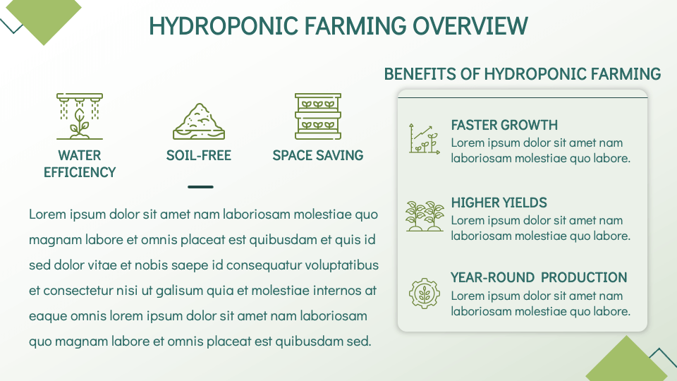 Hydroponic Farming Business Plan Template for Google Slides and PowerPoint - PPT Slides