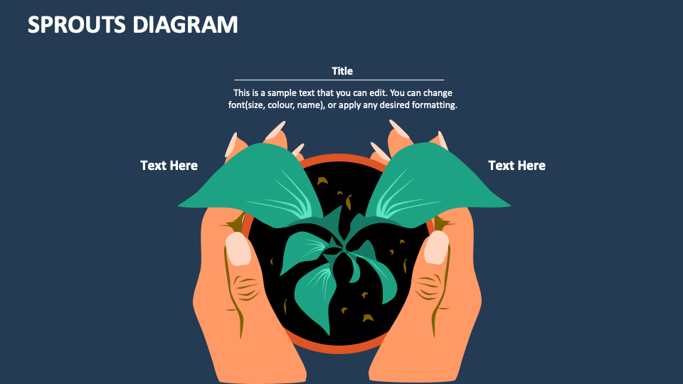 Sprouts Diagram Template for PowerPoint and Google Slides - PPT Slides
