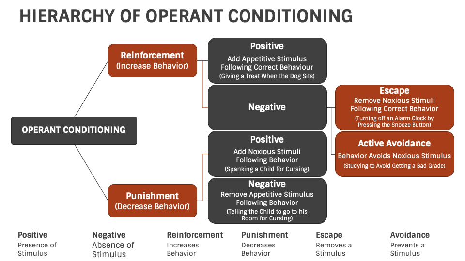 Operant Conditioning Template for Google Slides and PowerPoint - PPT Slides