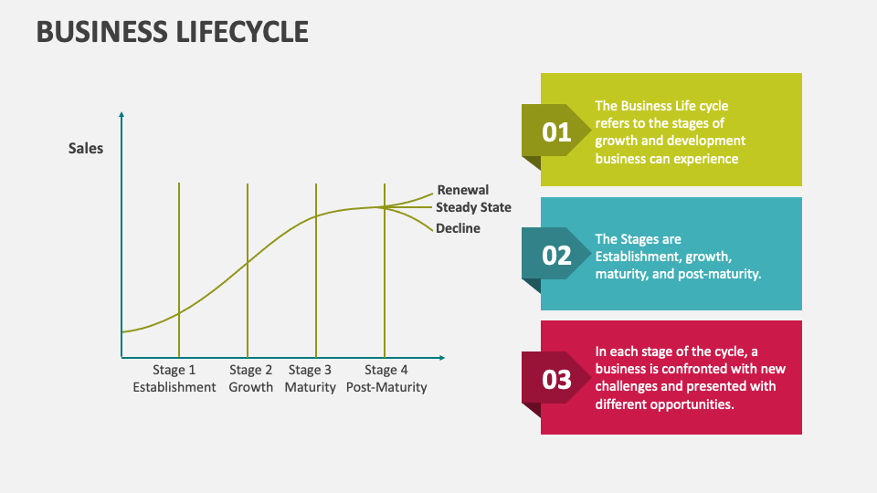 Business Lifecycle Template for PowerPoint and Google Slides - PPT Slides