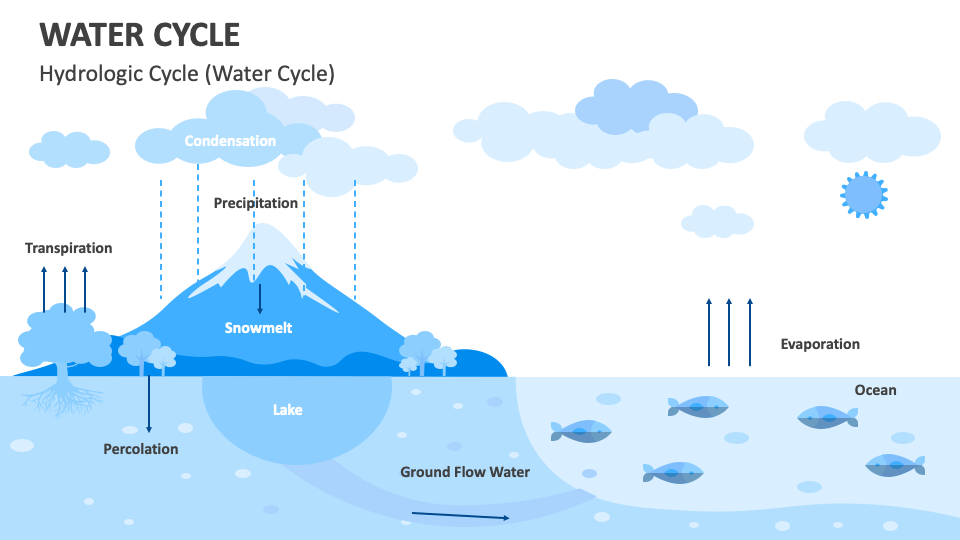 Water Cycle Template for PowerPoint and Google Slides - PPT Slides
