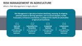 Risk Management in Agriculture Template for Google Slides and ...
