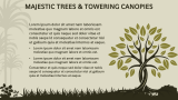 Free Forest Theme for Google Slides and PowerPoint