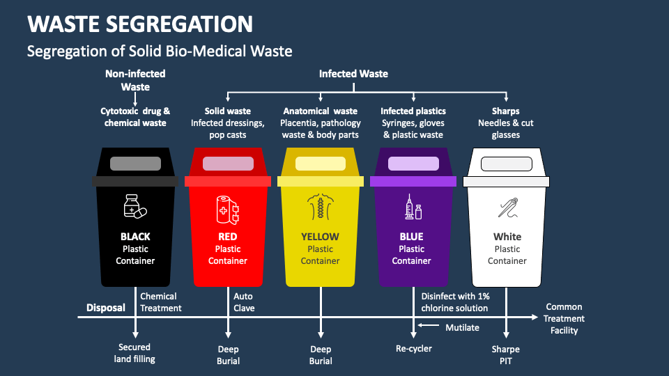 Waste Segregation PowerPoint and Google Slides Template - PPT Slides
