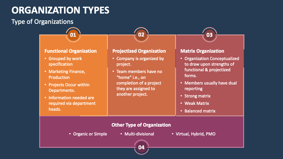 Organization Types PowerPoint and Google Slides Template - PPT Slides
