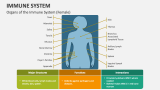 Immune System PowerPoint and Google Slides Template - PPT Slides