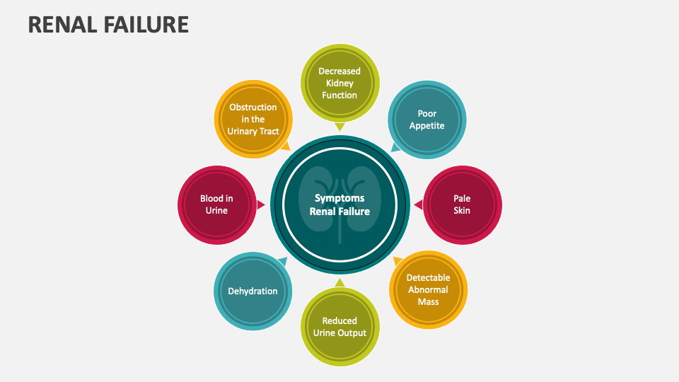 Renal Failure PowerPoint and Google Slides Template - PPT Slides