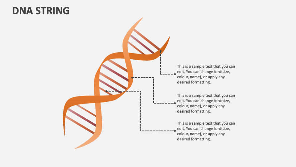 DNA String Template for PowerPoint and Google Slides - PPT Slides
