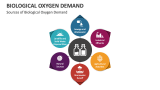 Biological Oxygen Demand PowerPoint and Google Slides Template - PPT Slides