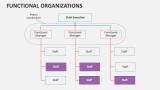 Functional Organizations Template for PowerPoint and Google Slides ...