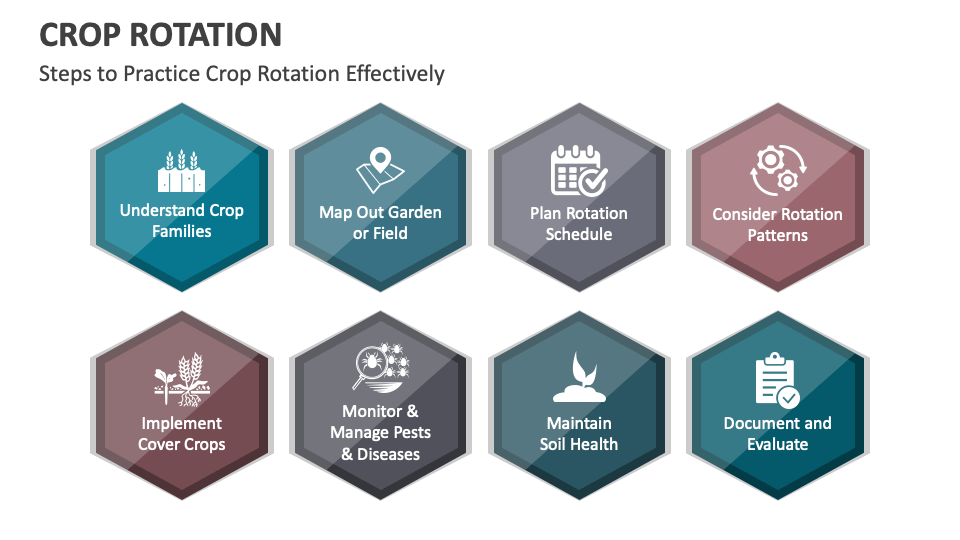 Crop Rotation Diagram Use The Principles Of Crop Rotation To Control