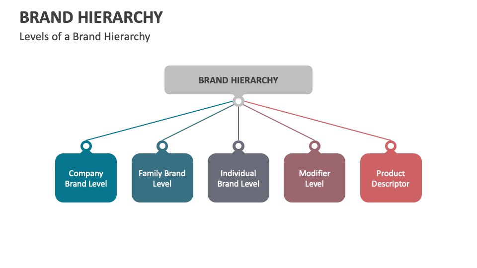 Brand Hierarchy PowerPoint and Google Slides Template - PPT Slides