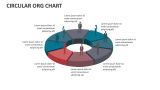 Circular ORG Chart for PowerPoint and Google Slides - PPT Slides