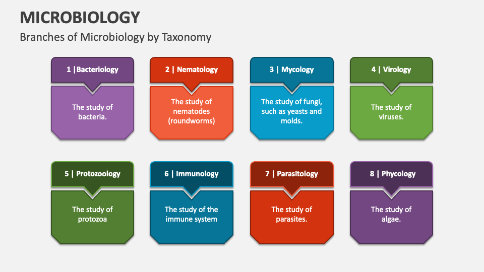 Microbiology PowerPoint and Google Slides Template - PPT Slides