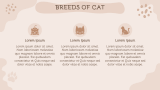 Cat Presentation Theme for PowerPoint and Google Slides - PPT Slides
