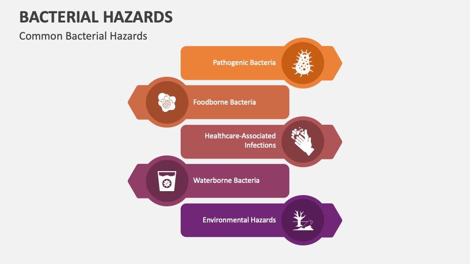 Bacterial Hazards PowerPoint and Google Slides Template - PPT Slides