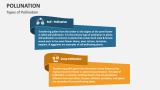 Pollination PowerPoint and Google Slides Template - PPT Slides