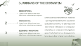 Free - Birds Presentation Template for Google Slides and PowerPoint ...