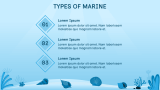 Free Marine Theme for Google Slides and PowerPoint