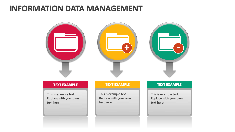 Information Data Management Template for PowerPoint and Google Slides ...