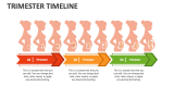 Trimester Timeline PowerPoint and Google Slides Template - PPT Slides
