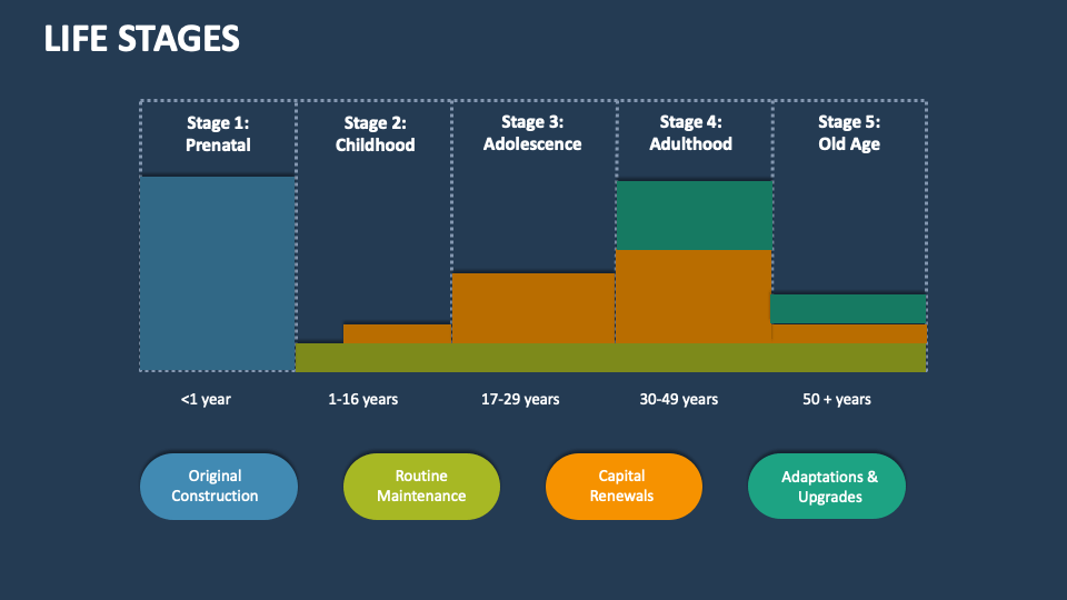 Life Stages Template for PowerPoint and Google Slides - PPT Slides Life Stages Template for PowerPoint and Google Slides - PPT Slides