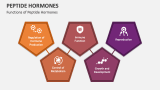 Peptide Hormones PowerPoint and Google Slides Template - PPT Slides