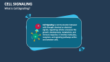 Cell Signaling PowerPoint and Google Slides Template - PPT Slides