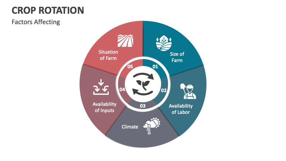 Crop Rotation PowerPoint and Google Slides Template - PPT Slides