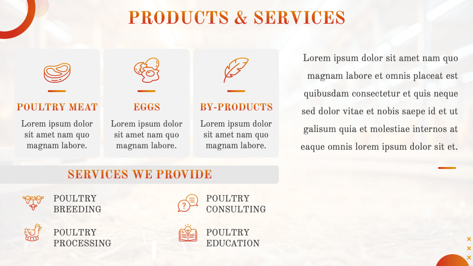 Poultry Farm Company Presentation Template for Google Slides and ...