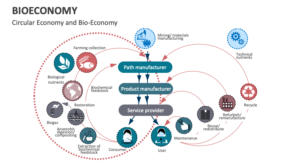 Bioeconomy Template for PowerPoint and Google Slides - PPT Slides