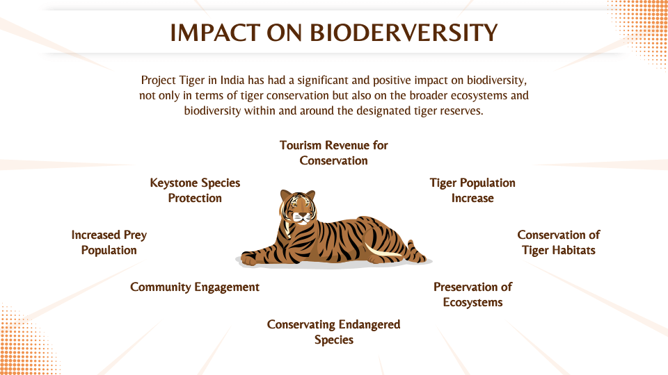 Free Project Tiger in India Presentation Template for Google Slides and ...