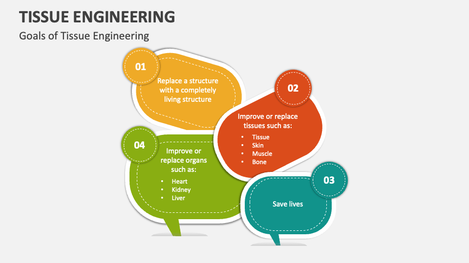 Tissue Engineering Template for PowerPoint and Google Slides - PPT Slides