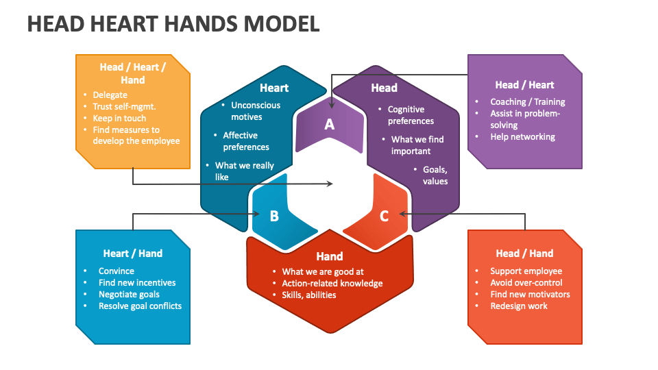 Head Heart Hands Model PowerPoint and Google Slides Template - PPT Slides