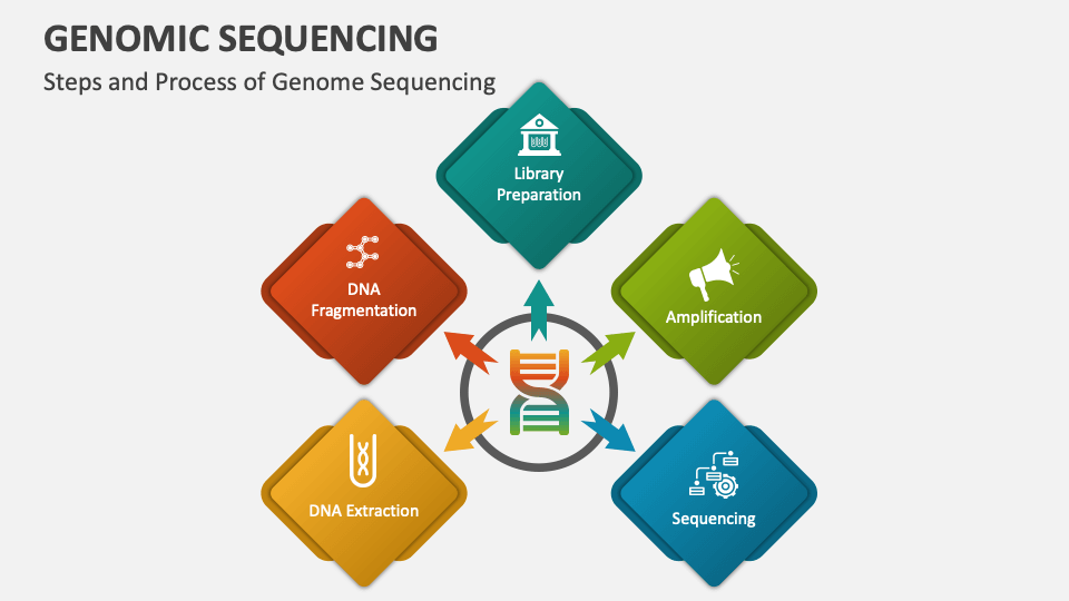 Genomic Sequencing PowerPoint and Google Slides Template - PPT Slides