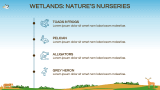 Free - Animal Habitat Presentation Template for Google Slides and ...