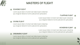 Free - Birds Presentation Template for Google Slides and PowerPoint ...