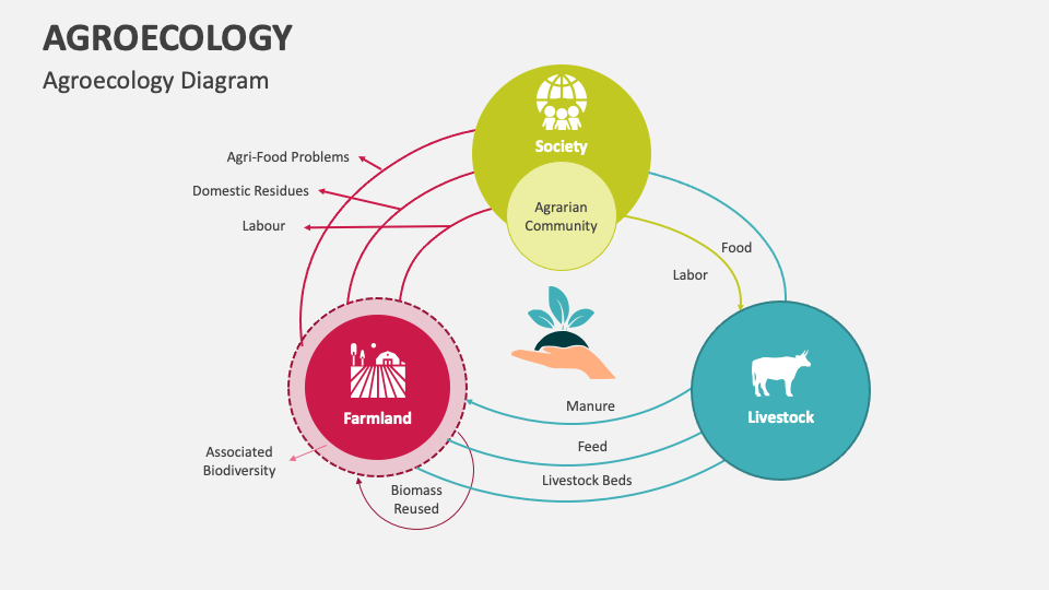 Agroecology PowerPoint and Google Slides Template - PPT Slides