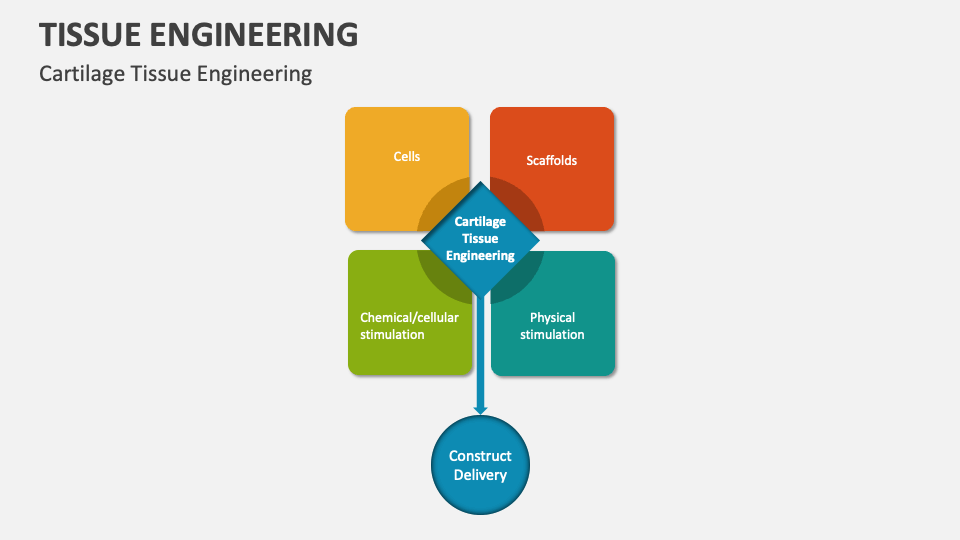 Tissue Engineering Template for PowerPoint and Google Slides - PPT Slides