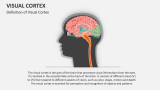 Visual Cortex PowerPoint and Google Slides Template - PPT Slides