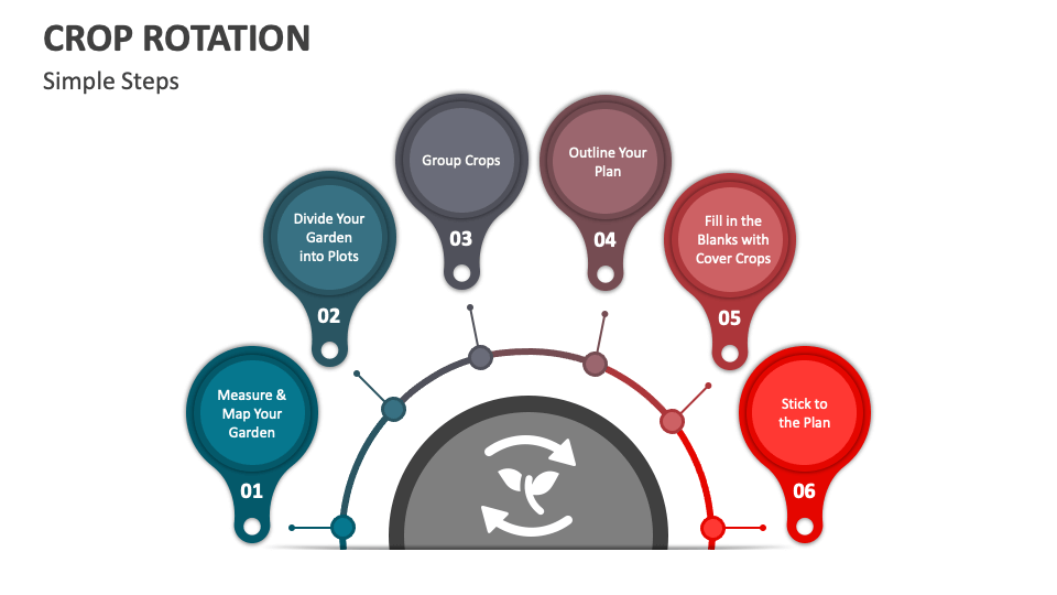Crop Rotation PowerPoint and Google Slides Template - PPT Slides