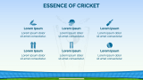 Cricket Stadium Background Presentation Theme for PowerPoint and Google ...