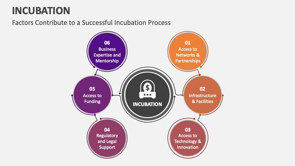 Incubation PowerPoint and Google Slides Template - PPT Slides