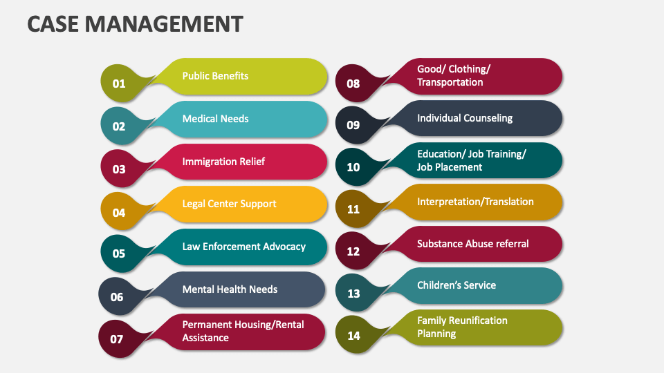 Case Management PowerPoint and Google Slides Template - PPT Slides