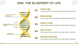 Free - Advanced Biology for High School Template for Google Slides and ...