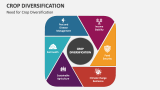 Crop Diversification PowerPoint and Google Slides Template - PPT Slides