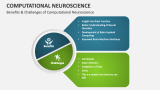 Computational Neuroscience PowerPoint and Google Slides Template - PPT Slides