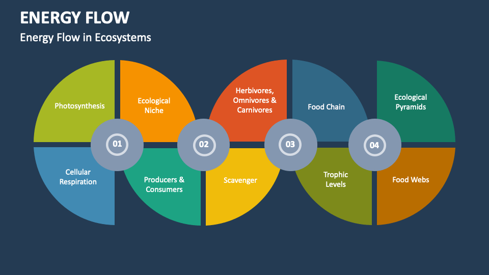 Energy Flow Template for PowerPoint and Google Slides - PPT Slides